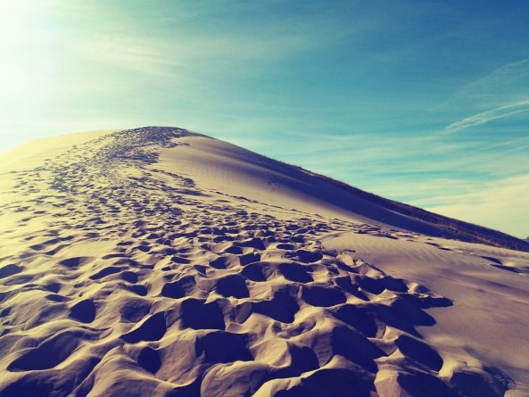 Sledding Down a Sand Dune in California (Or, What You Do for Fun When ...